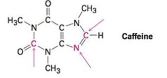 Structure Of Caffeine With Lone Pairs